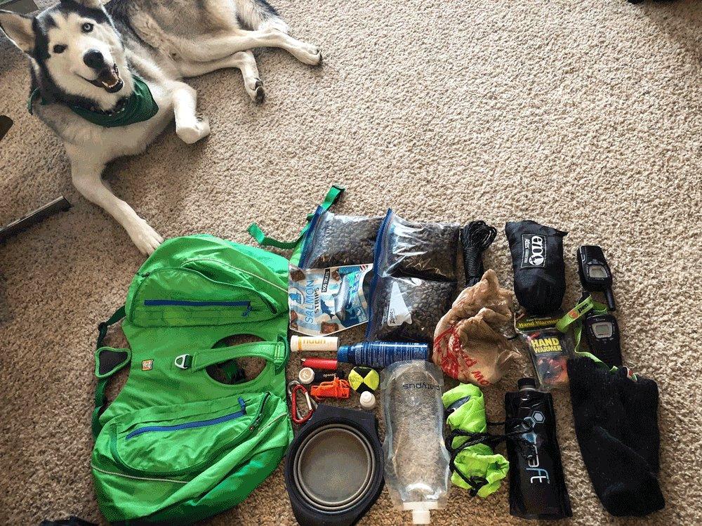 9 Best Puppy Backpacks: Explore Top Picks & Buying Guide | Dog Hugs Cat